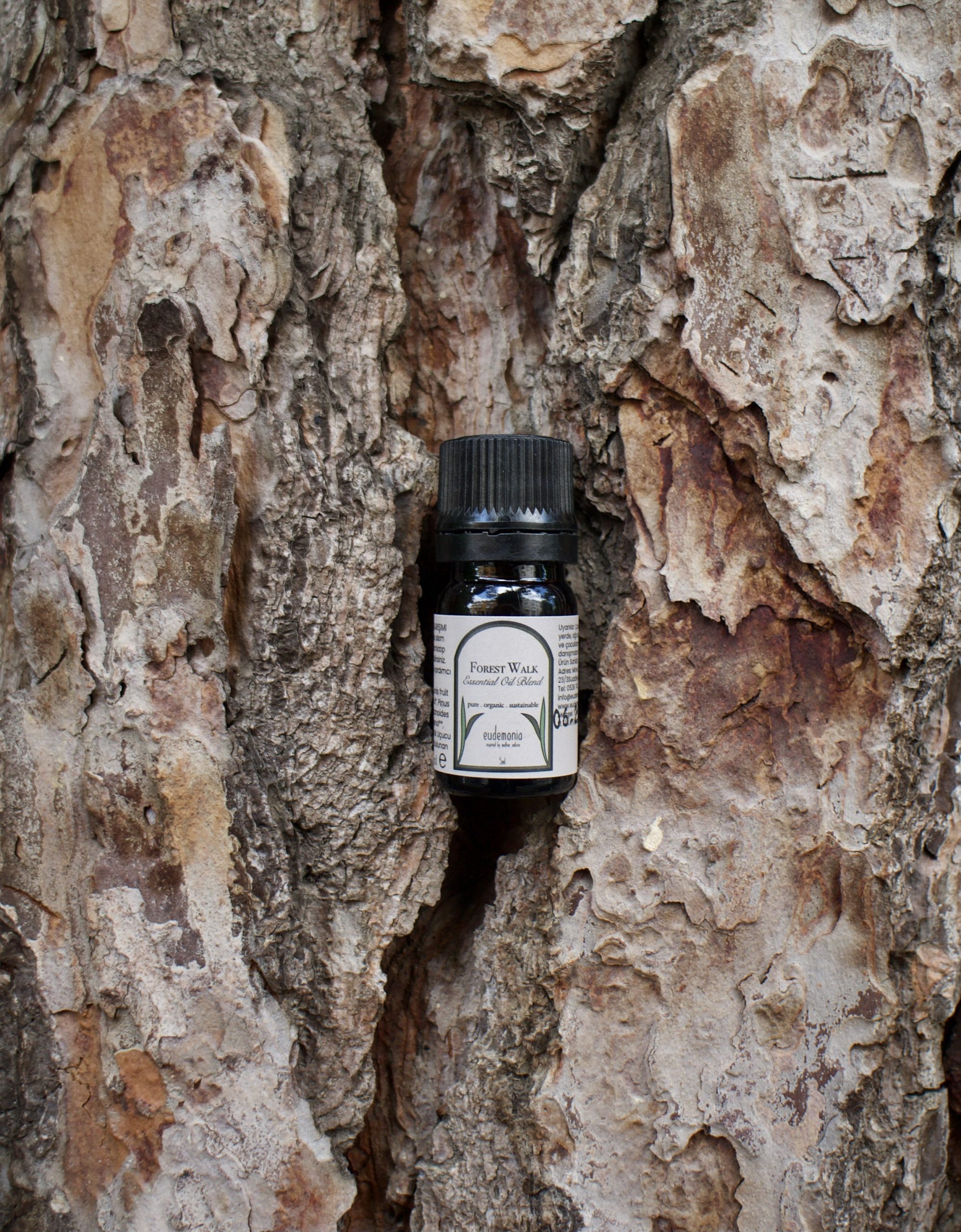 Eudemonia Online – inspired by mother nature