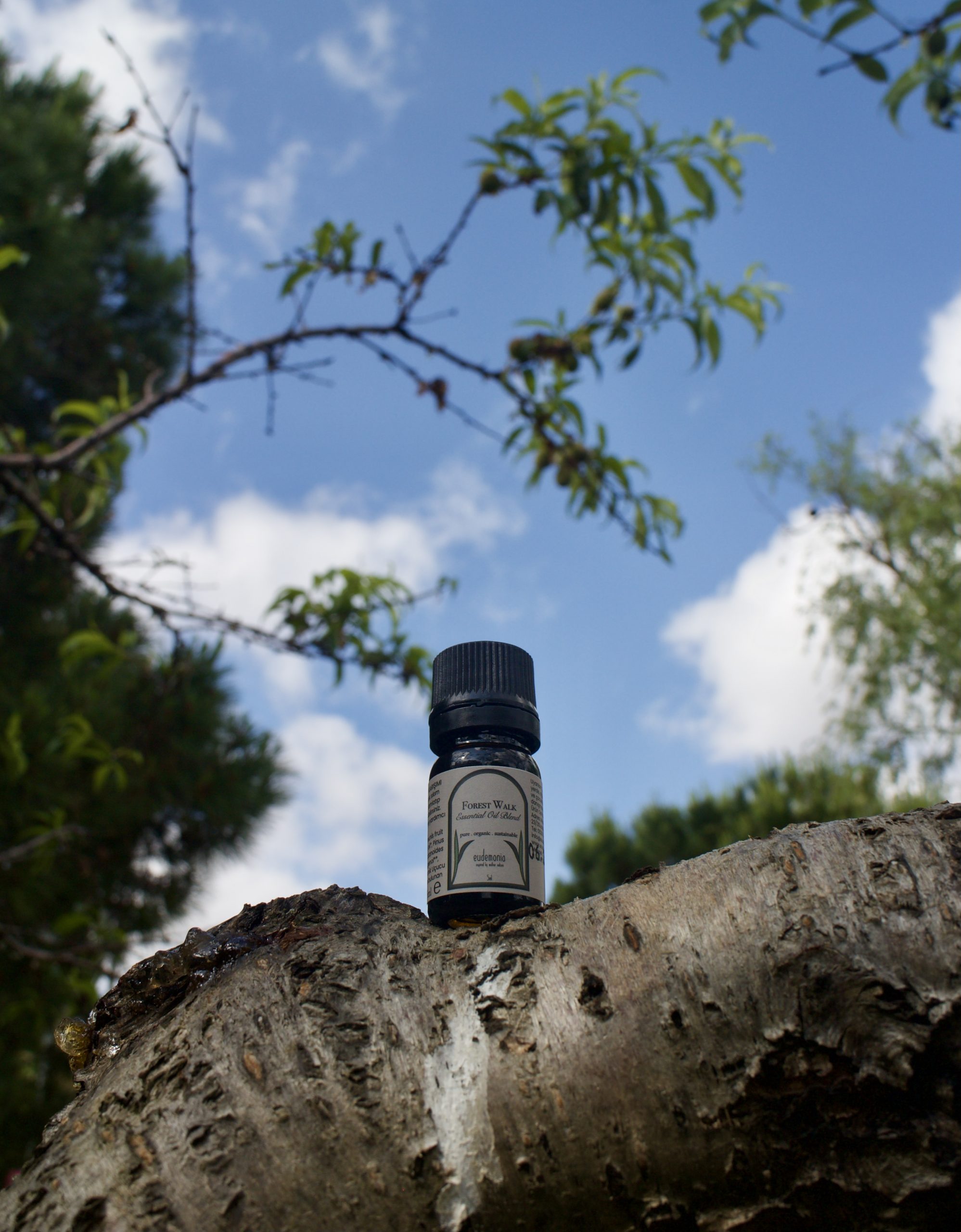 Meditasyonun Farklı Yüzleri – Eudemonia Online